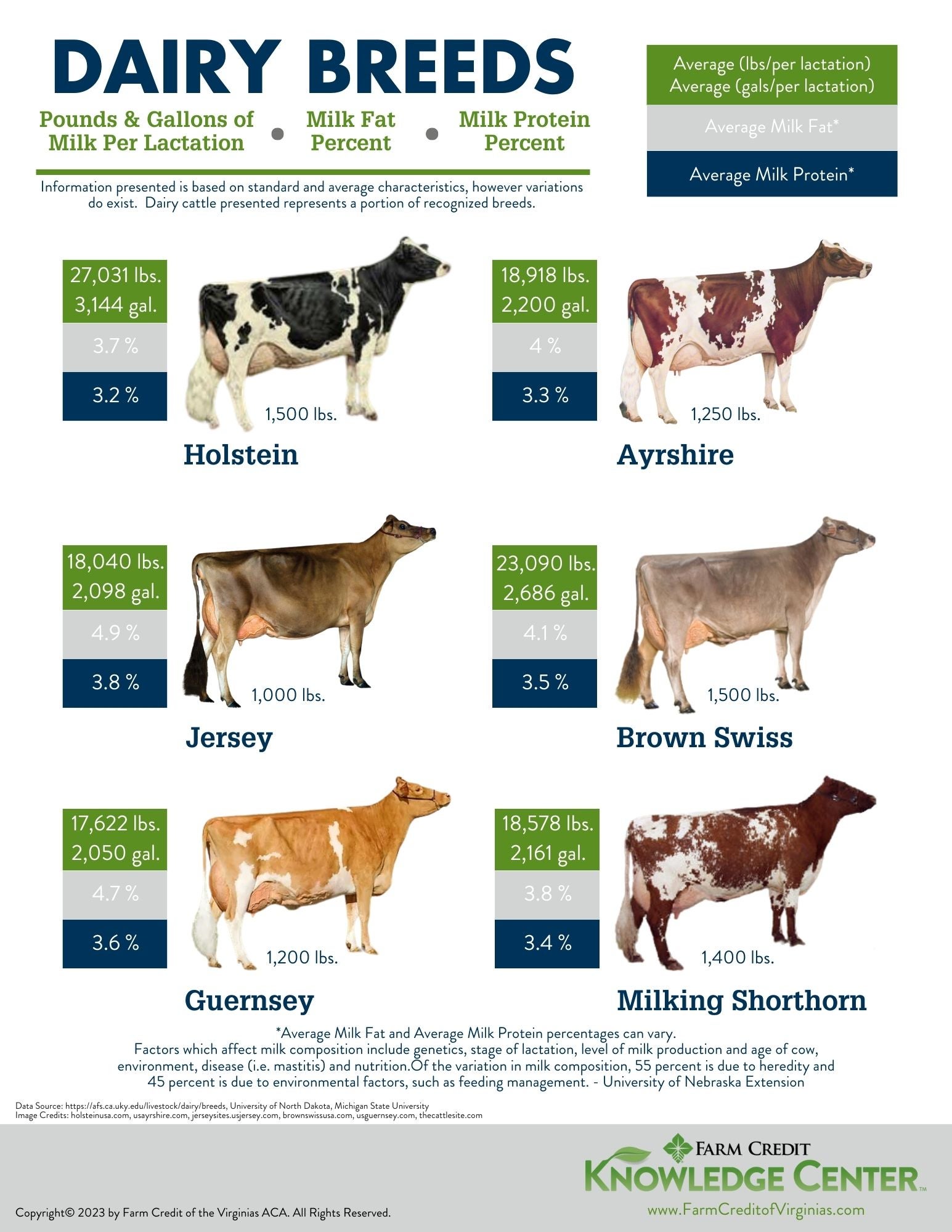 Breed Series | Farm Credit of the Virginias